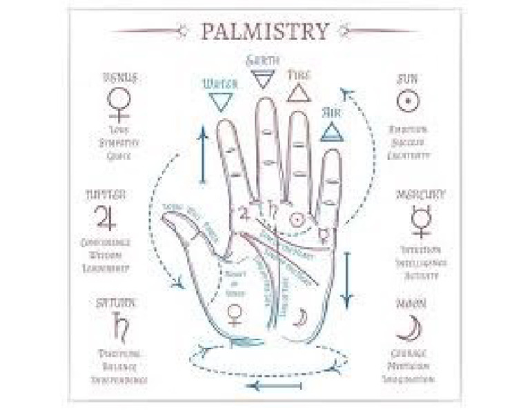 Palm Identification | PDF
