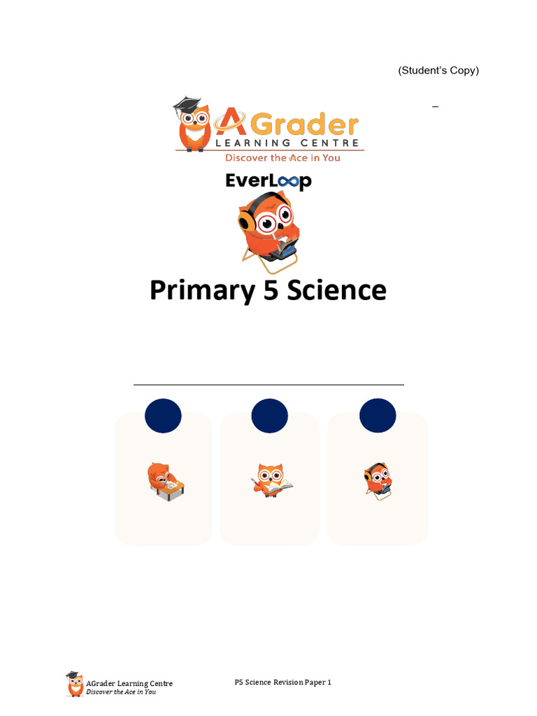 P5 Science Term 2 Revision Paper | PDF | Water | Gastrointestinal Tract
