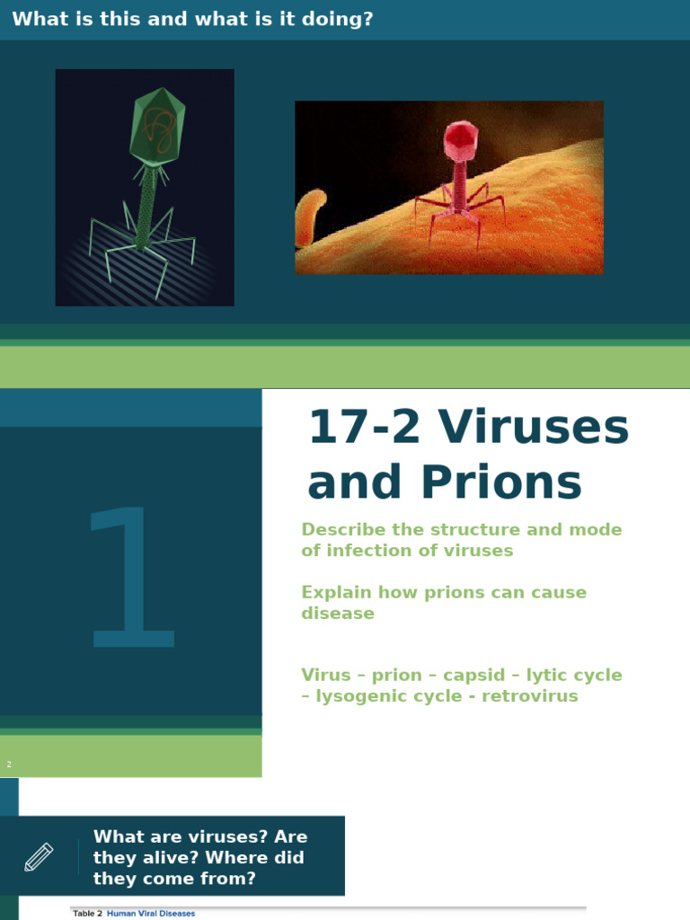 Viruses and Prions: Key Differences | PDF | Virus | Retrovirus