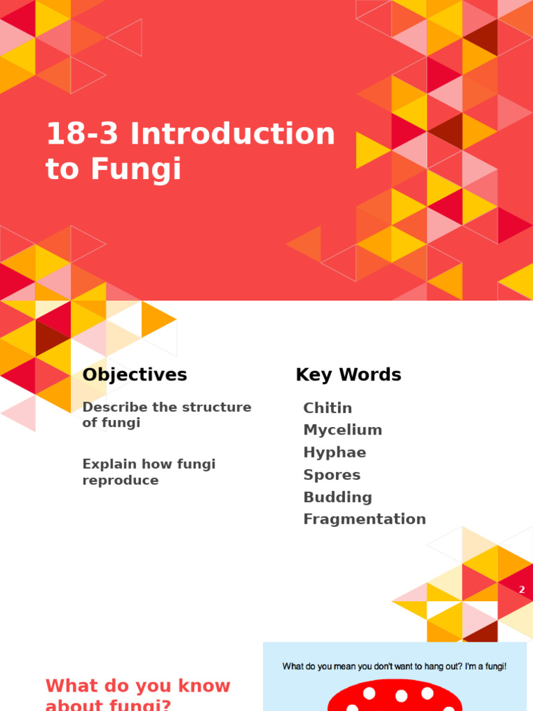 18-3 Introduction To Fungi | PDF | Fungus | Cell (Biology)
