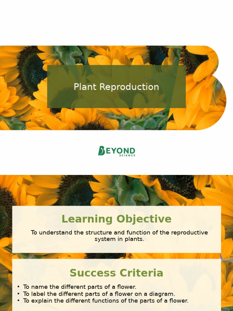 Plant Reproduction and Flower Anatomy | PDF | Flowers | Pollination