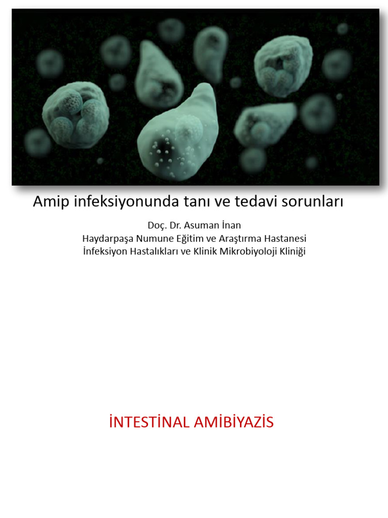Amip Infeksiyonunda Tanı Ve Tedavi Sorunları Asuman İNAN | PDF