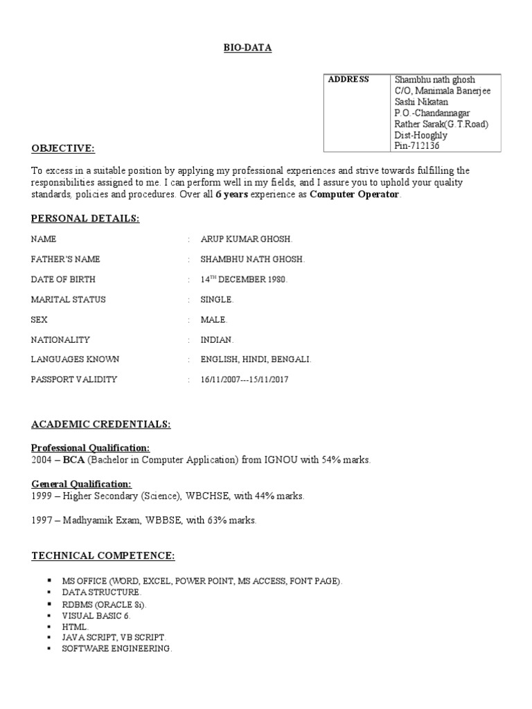 Arup CV | PDF | Business | Computers