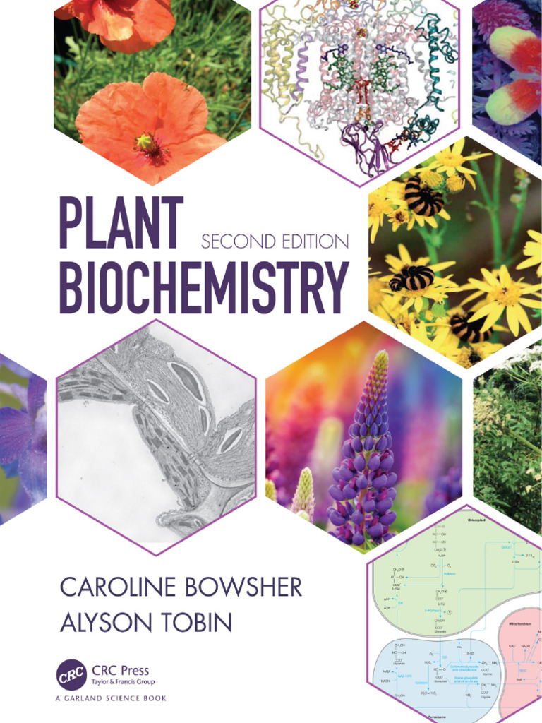 Caroline Bowsher, Alyson Tobin - Plant Biochemistry (2021, CRC Press ...