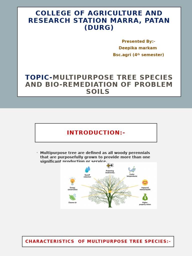 Deepika Presentation Soil Science | PDF