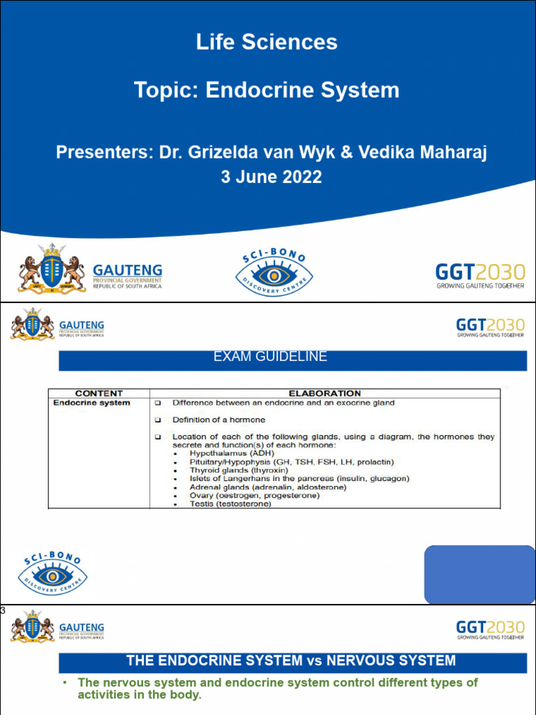Endocrine System Pdf Hormone Thyroid
