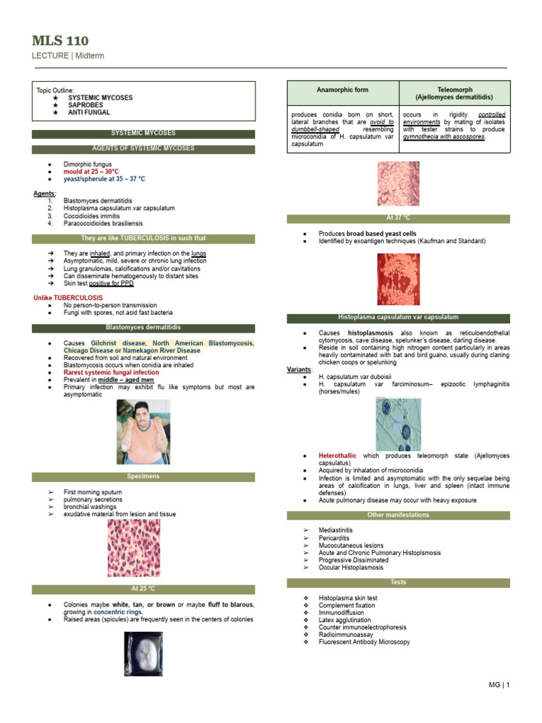 Systemic | PDF | Candidiasis | Candida (Fungus)