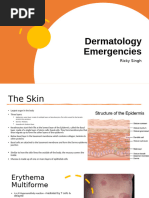 Dermatology Target Lesions Guide | PDF | Diseases And Disorders ...