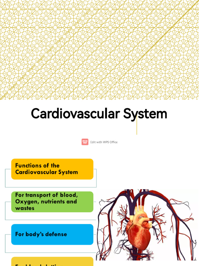 Cardiovascular System | PDF