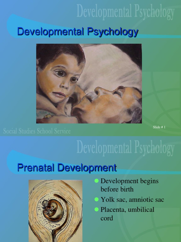 Overview of Developmental Psychology | PDF | Twin | Adolescence