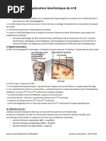 Analyse et Prélèvement du LCR | PDF | Liquide cérébro-spinal | Médecine ...