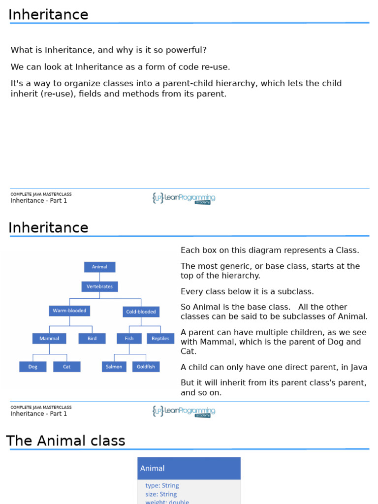 Java Inheritance Explained: Basics & Concepts | PDF | Inheritance ...
