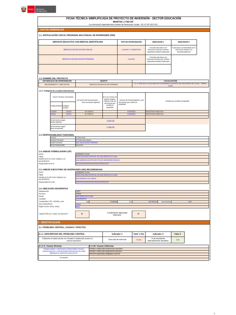 Ficha Tecnica Simplificada Educacion v1 EJEMPLO FEPI 1 1 | PDF