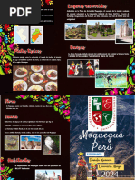 Triptico Amazonas | PDF