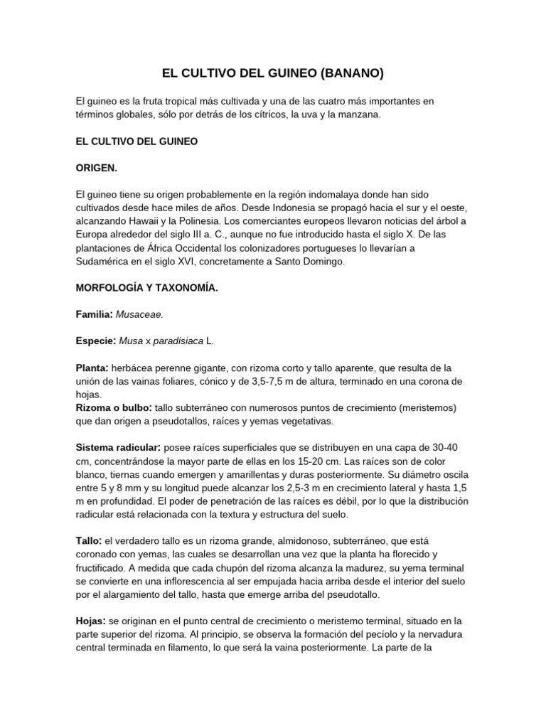 El Cultivo Del Guineo | PDF | Plantas