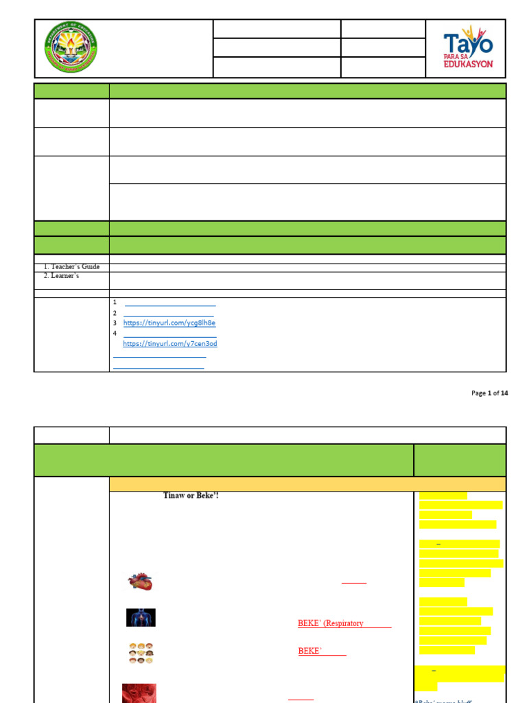 Grade 9 Science Lesson Plan: Circulatory System | PDF | Blood | Blood ...