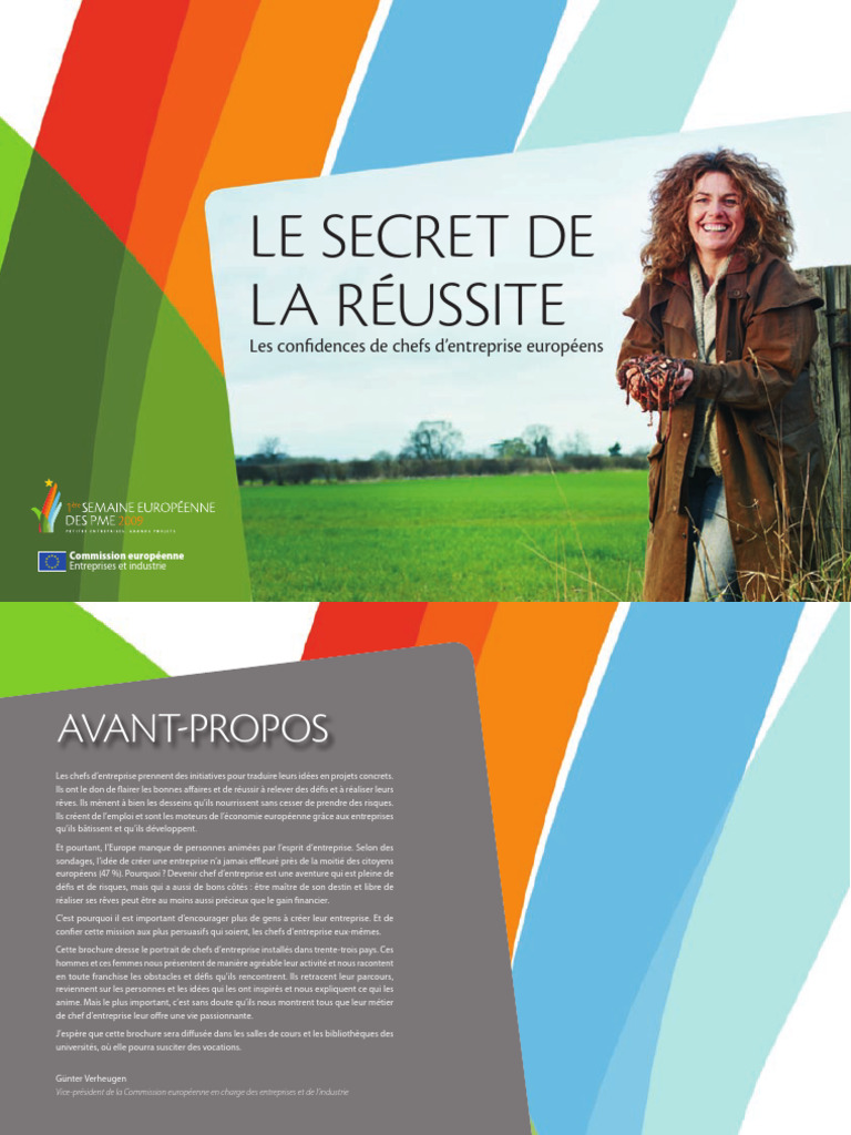 Réussite des Chefs d'Entreprise Européens | PDF | Business | Informatique