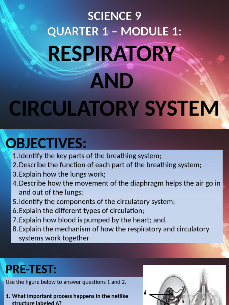 Science 9 q1m1 | PDF | Breathing | Respiratory System
