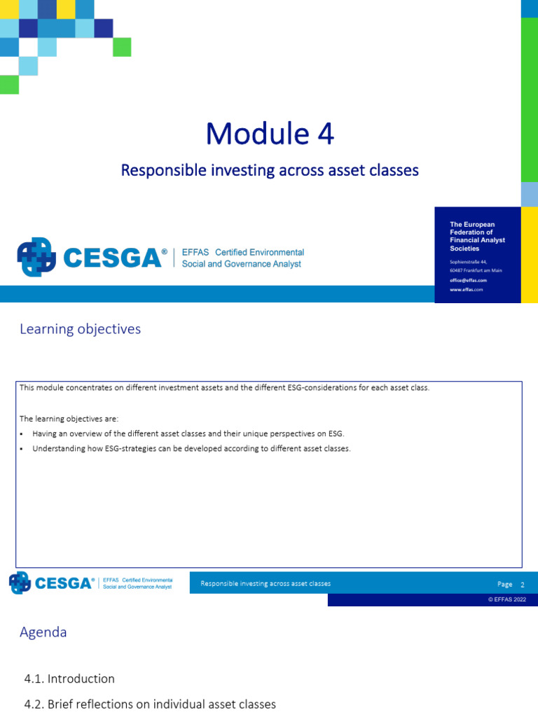 EFFAS CESGA 2022 Module4 | PDF | Bonds (Finance) | Investing