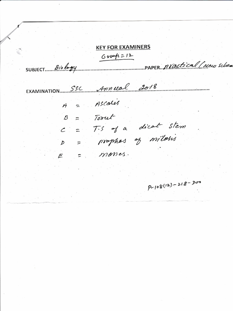 Biology Practical Papers File-2 | PDF | Biology | Plants