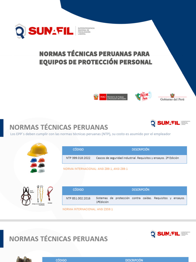 Normas Técnicas Peruanas Para EPPs | PDF