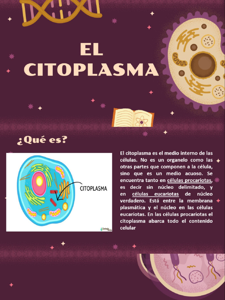 Cito Plasma | PDF
