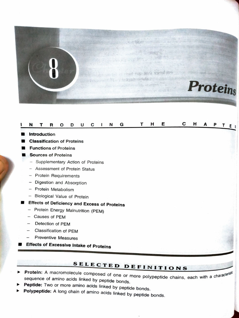 Protein | PDF | Proteins | Amino Acid