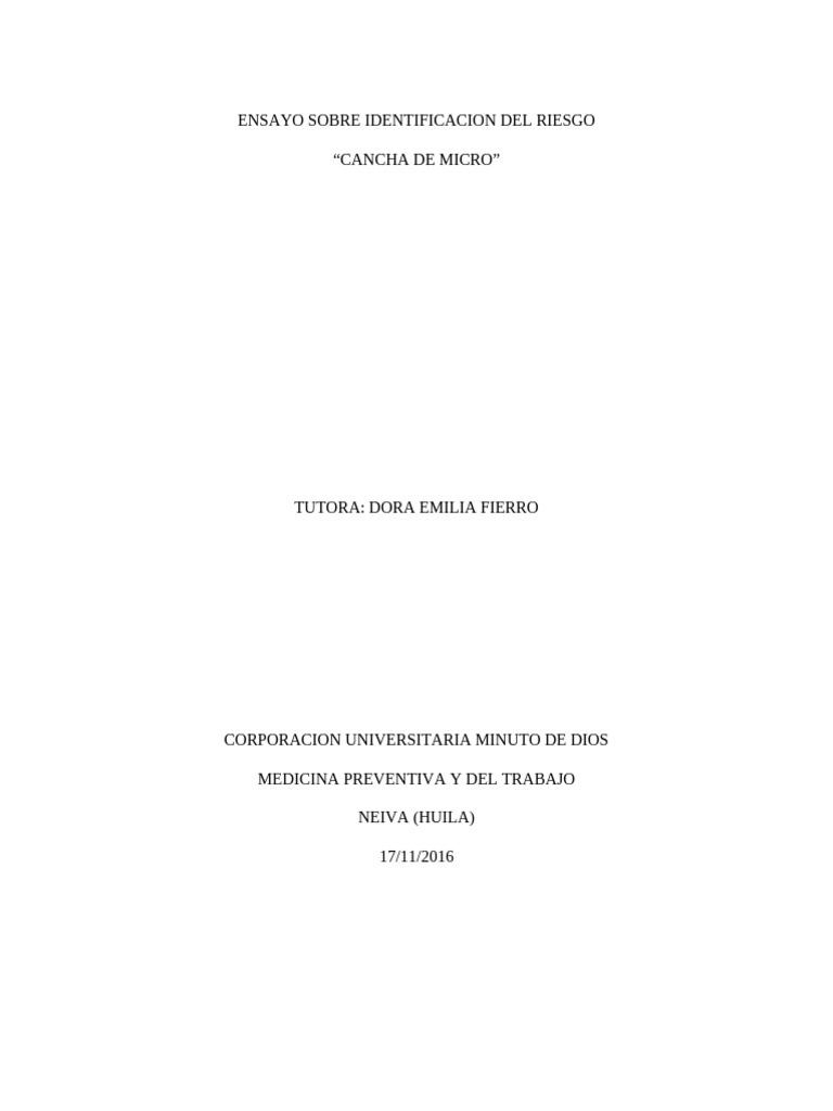 Tarea # 8 Identificacion de Riesgo Cancha de Micro | PDF