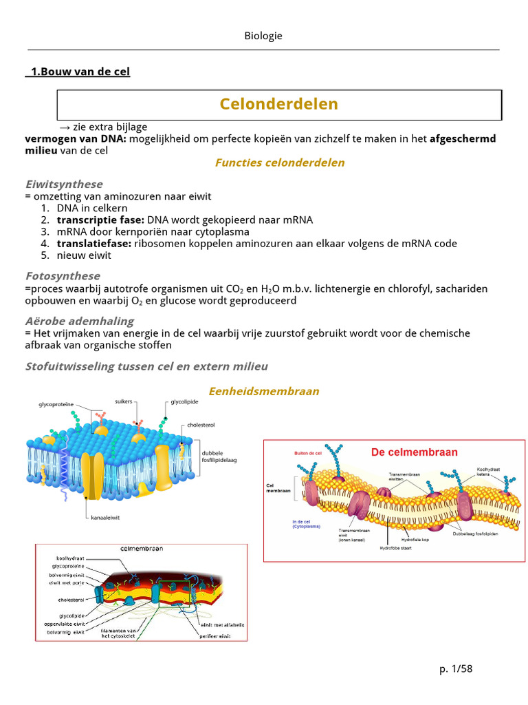 Biol | PDF