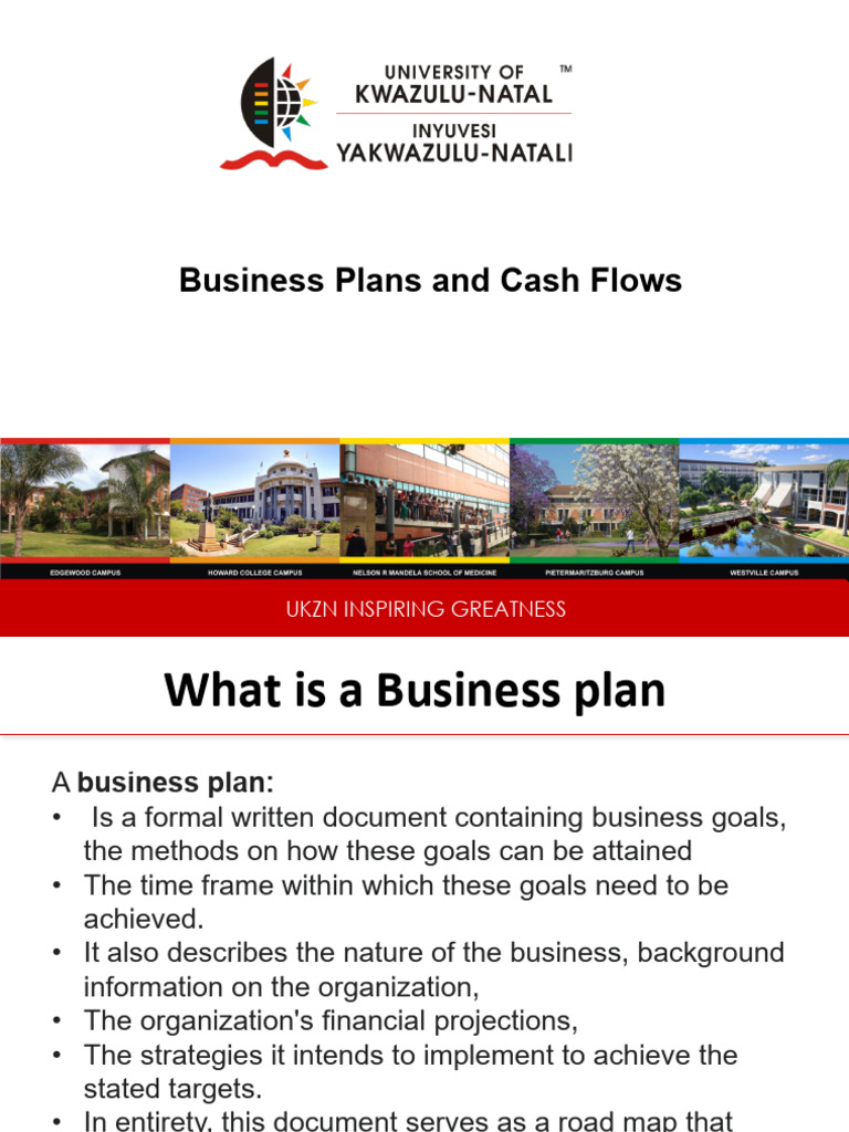 Business Plan and Cash Flows | PDF | Cash Flow Statement | Dividend