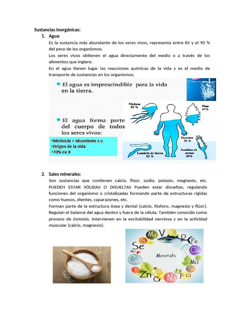 Sustancias inorgánicas | PDF
