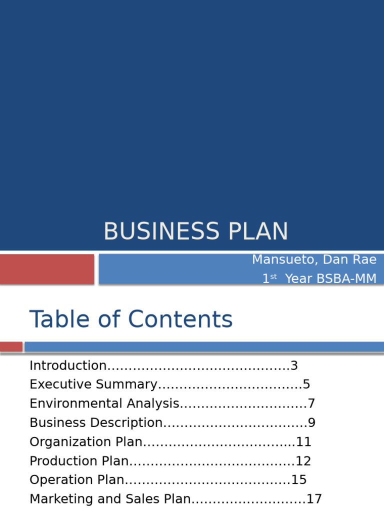 Business Plan MansuetoDR | PDF | Marketing | Market (Economics)
