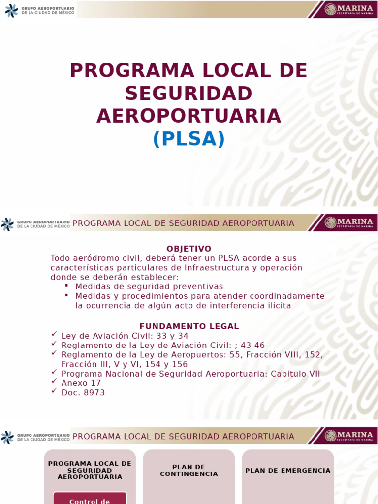 5 PLSA (Presentación-Contenido) | PDF | Aeropuerto | Seguridad de ...