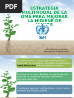 Higiene-Manos-Salva-Vidas OPS | PDF | Lavado de manos | Infección