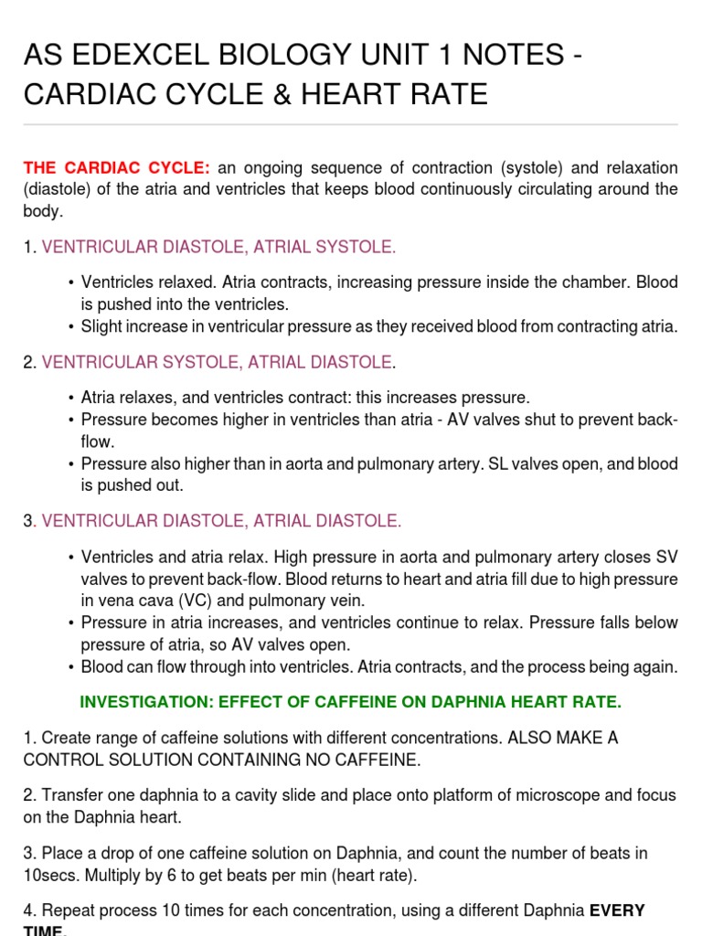 Cardiac Cycle and Heart Rate Notes | PDF