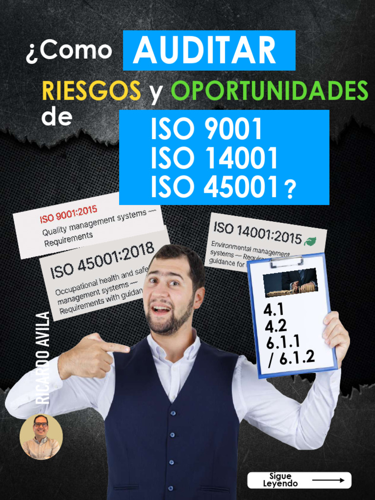 ¿Cómo Auditar Riesgos y Oportunidades | PDF