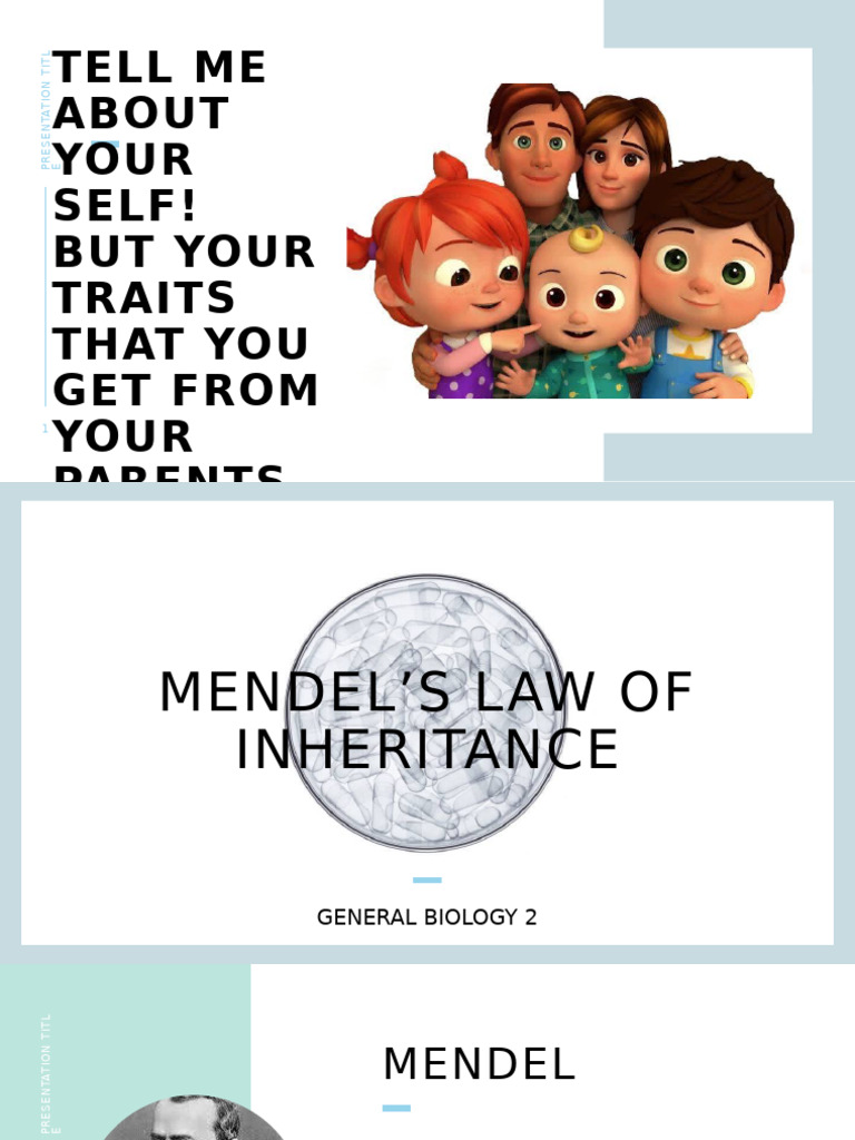 Mendels Law of Inheritance | PDF | Dominance (Genetics) | Genotype