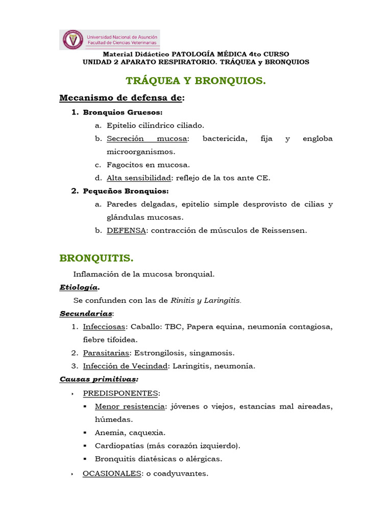 TRÁQUEA y BRONQUIOS 2024 | PDF | Tos | Bronquitis