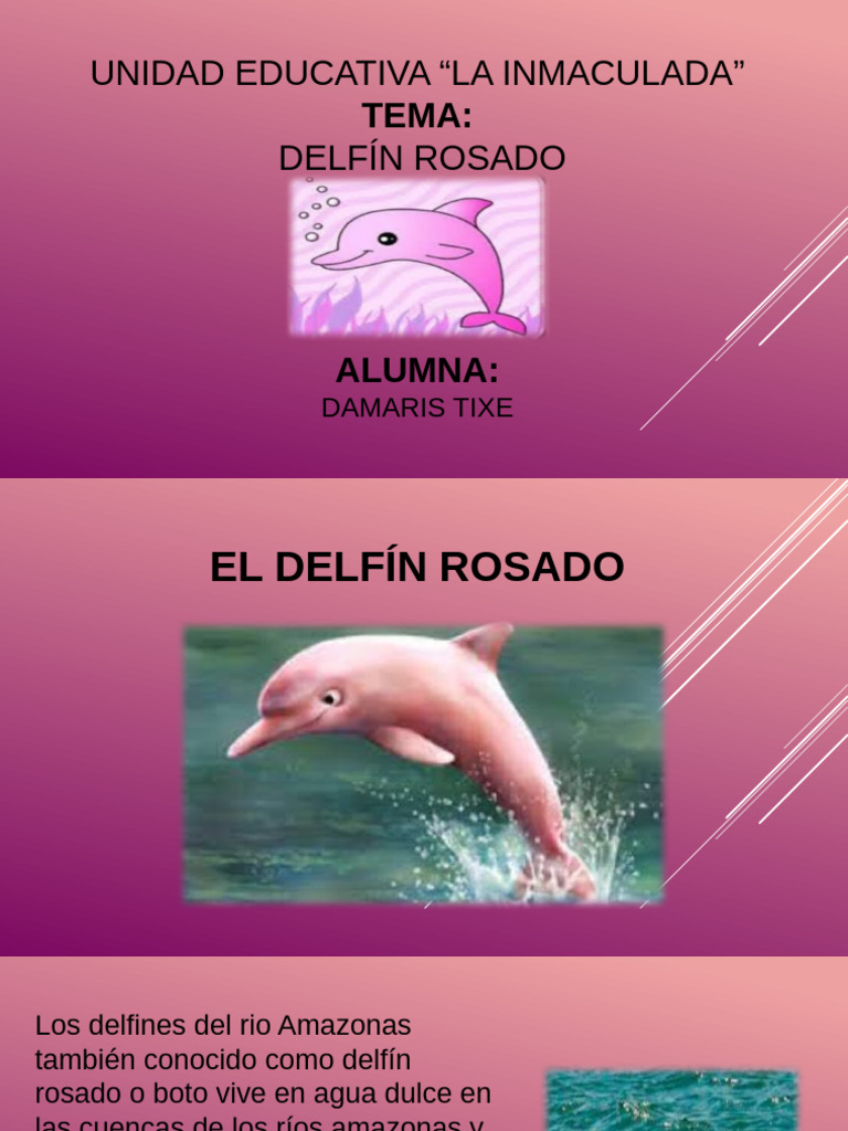 Delfín Rosado: Características y Amenazas | PDF