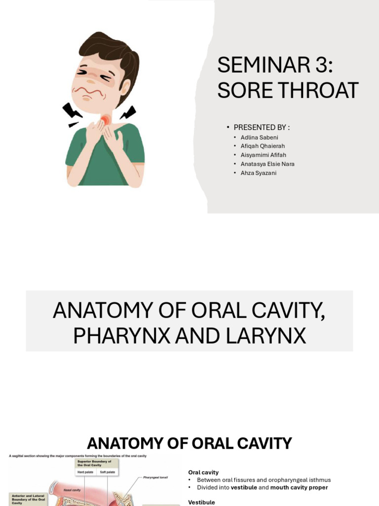 Seminar 3 Sore Throat | PDF | Larynx | Human Anatomy