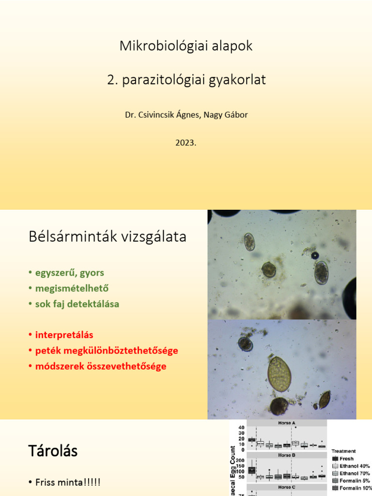 Parazita - Gyak | PDF