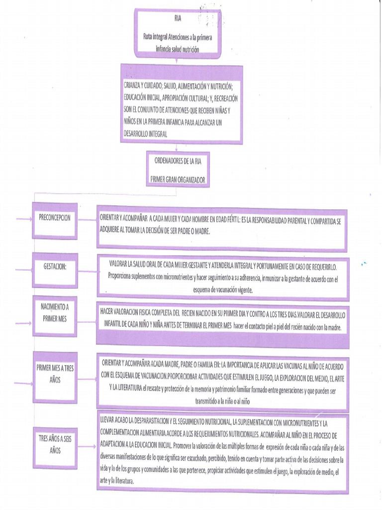 Mapa Conceptual 1 Pdf
