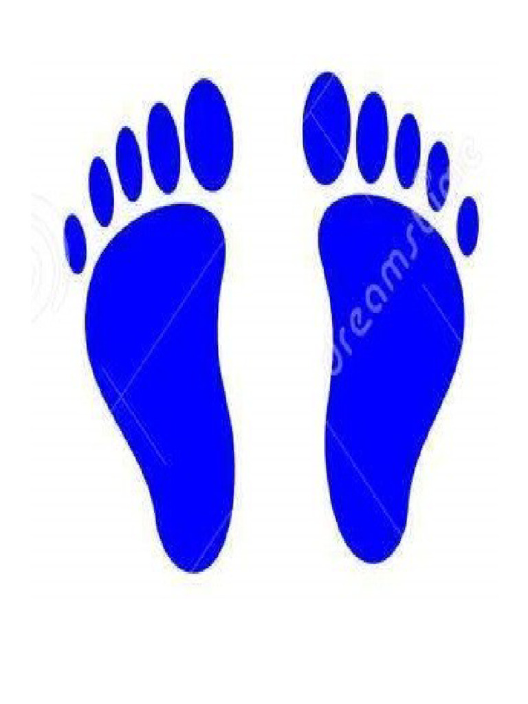 Footpaint | PDF