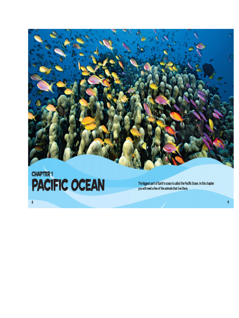 CH 1 Pacific Ocean | PDF