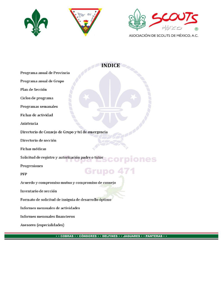 Carpeta Del Scouter | PDF