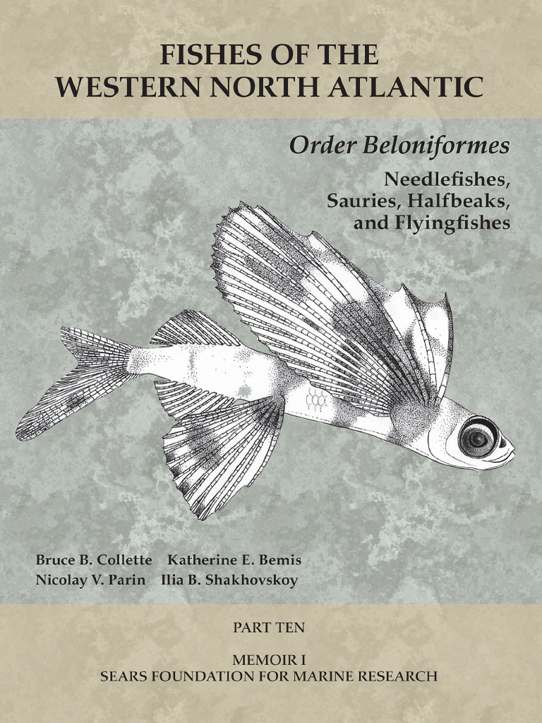 Collette Et Al. (2019) Fishes of the Western North Atlantic - Order ...