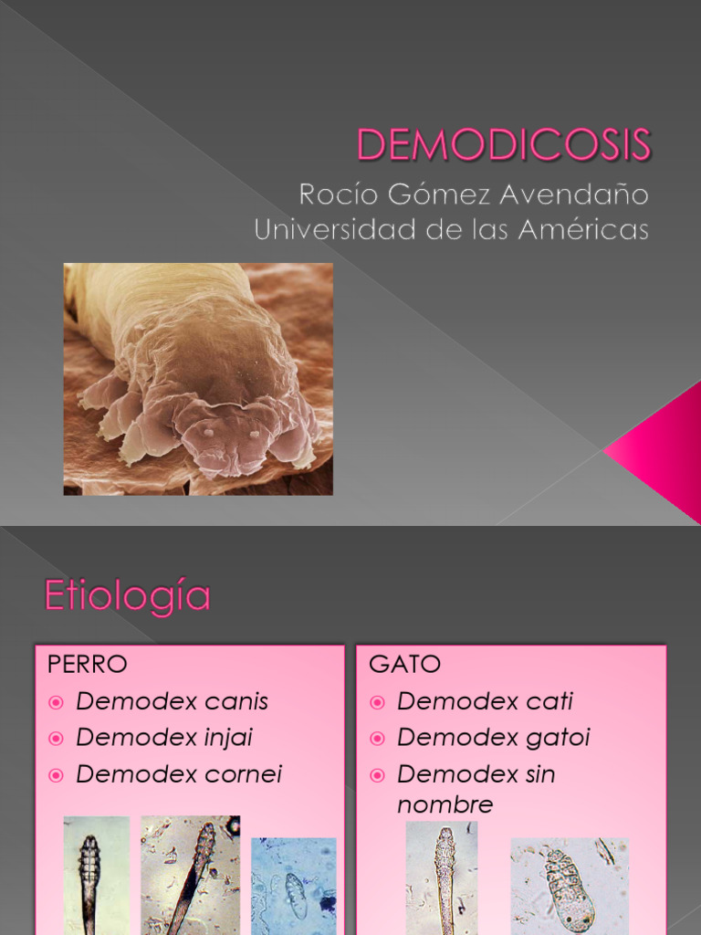 Demodicosis | PDF | Enfermedades y trastornos | Causas de la muerte
