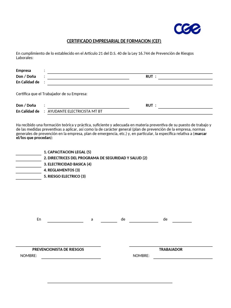 CEF Dinámico | PDF | Tecnología