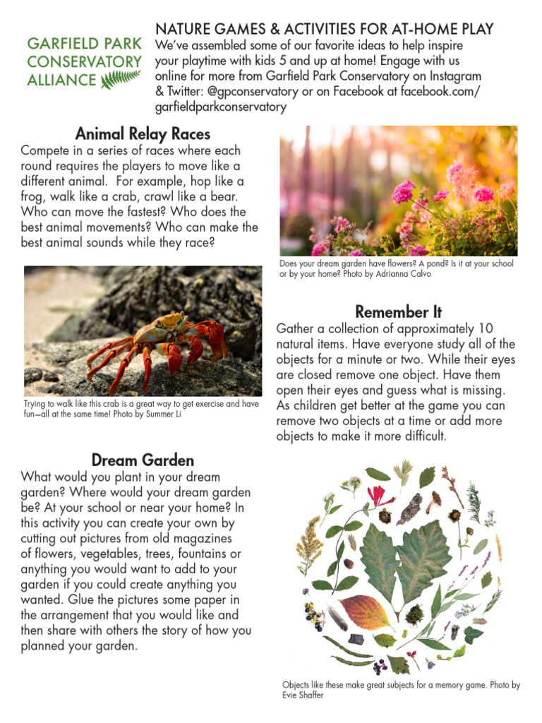 Nature Games Older Kids Final | PDF