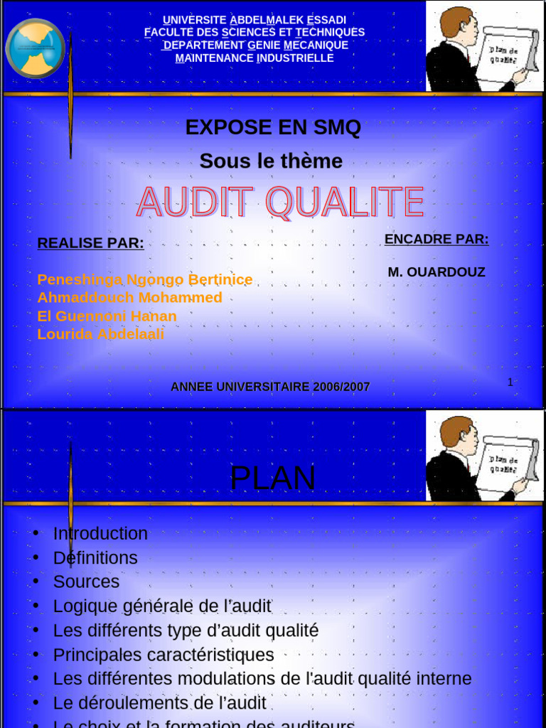 Expo Final A | PDF | Audit | Risque